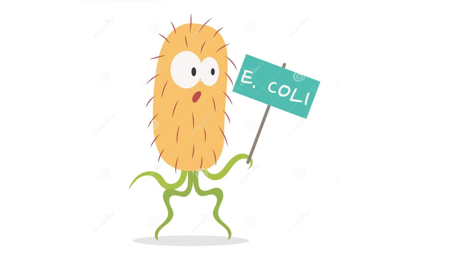 What is a UTI? ⋆ OKC Kids Urology